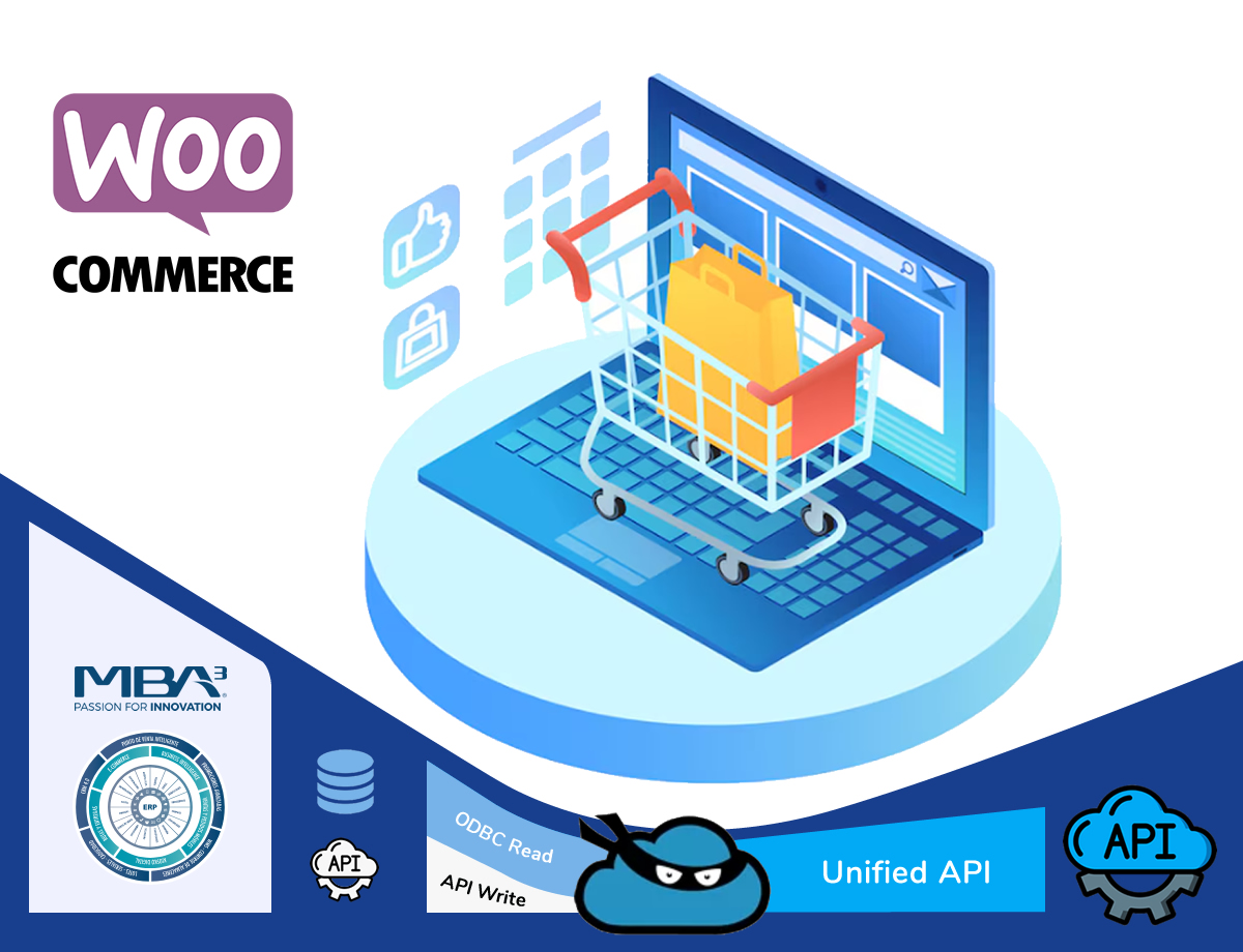 Nube Ninja: WooCommerce + ERP MBA3